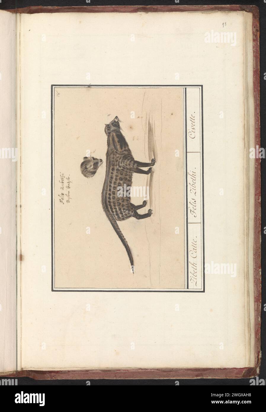 Detailed explanation hi-res stock photography and images - Alamy