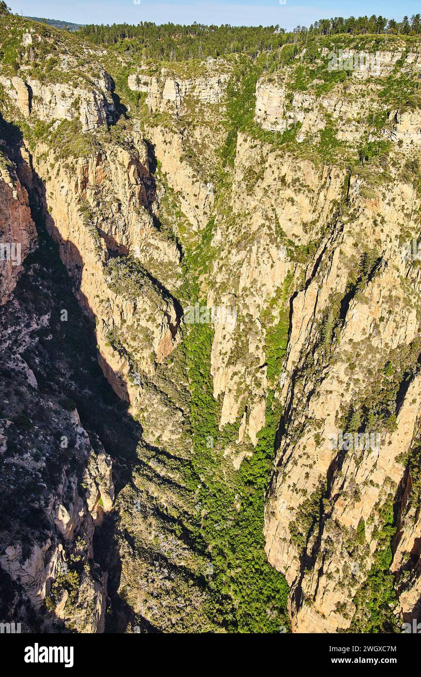 Aerial View of Sedona Canyon with Lush Greenery and Rock Layers Stock ...