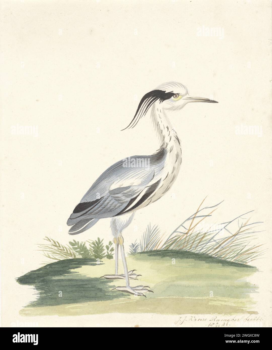 Blauwe Reiger, J.J. Ramaker, 1846 drawing paper. pencil brush shore ...