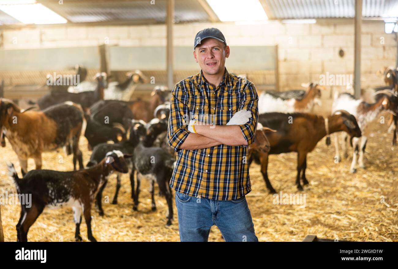 Confident positive farmer breeding dairy goats posing in shed Stock ...