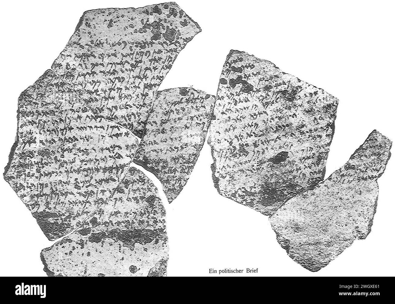 Ostracon hi-res stock photography and images - Alamy