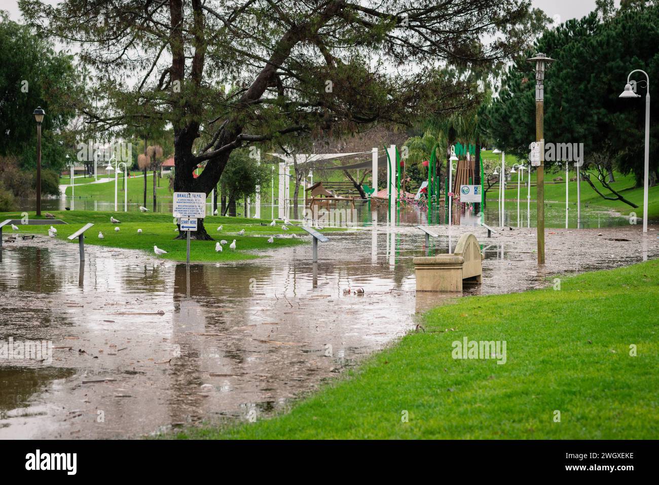 Lower playground and large pond at Polliwog Park flooded by the rain in ...