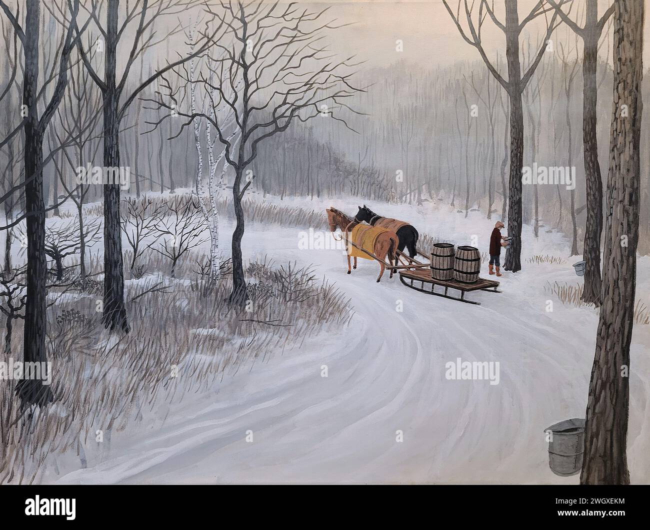 1940s scene of a misty winter morning and a man harvesting sap from ...