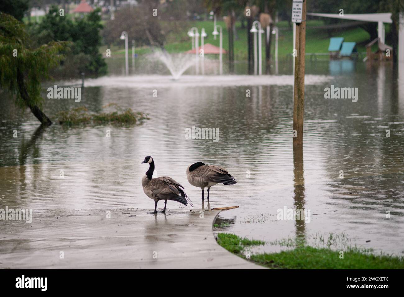 Lower playground polliwog park after the rain hi-res stock photography ...