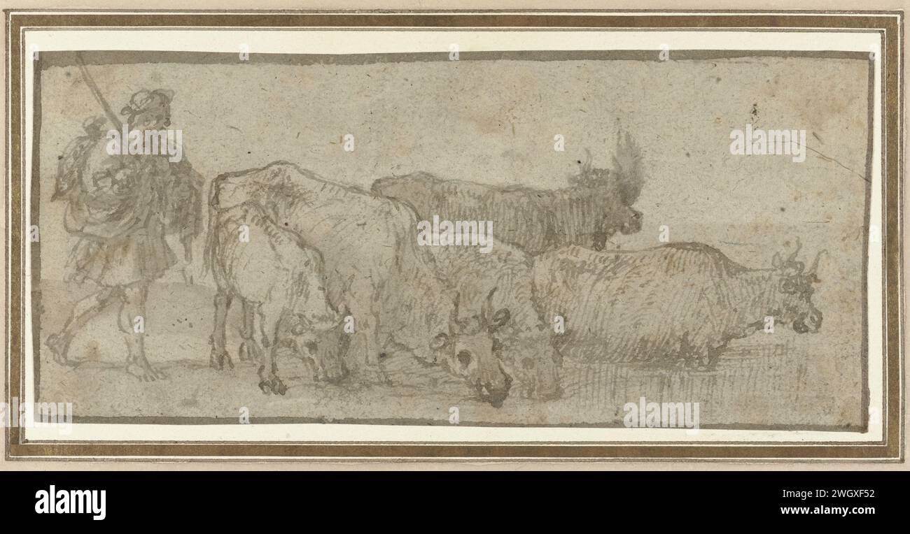 Shepherd shepherdess herd cattle hi-res stock photography and images ...