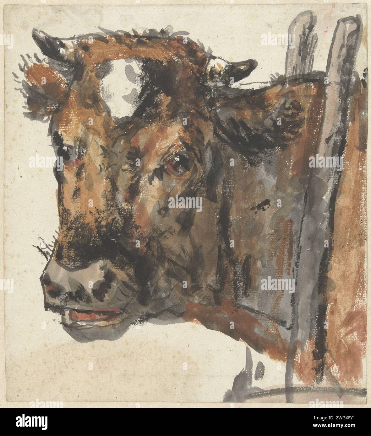 Head of a cow, Jan Kobell (II), 1788 - 1814 drawing paper. watercolor ...