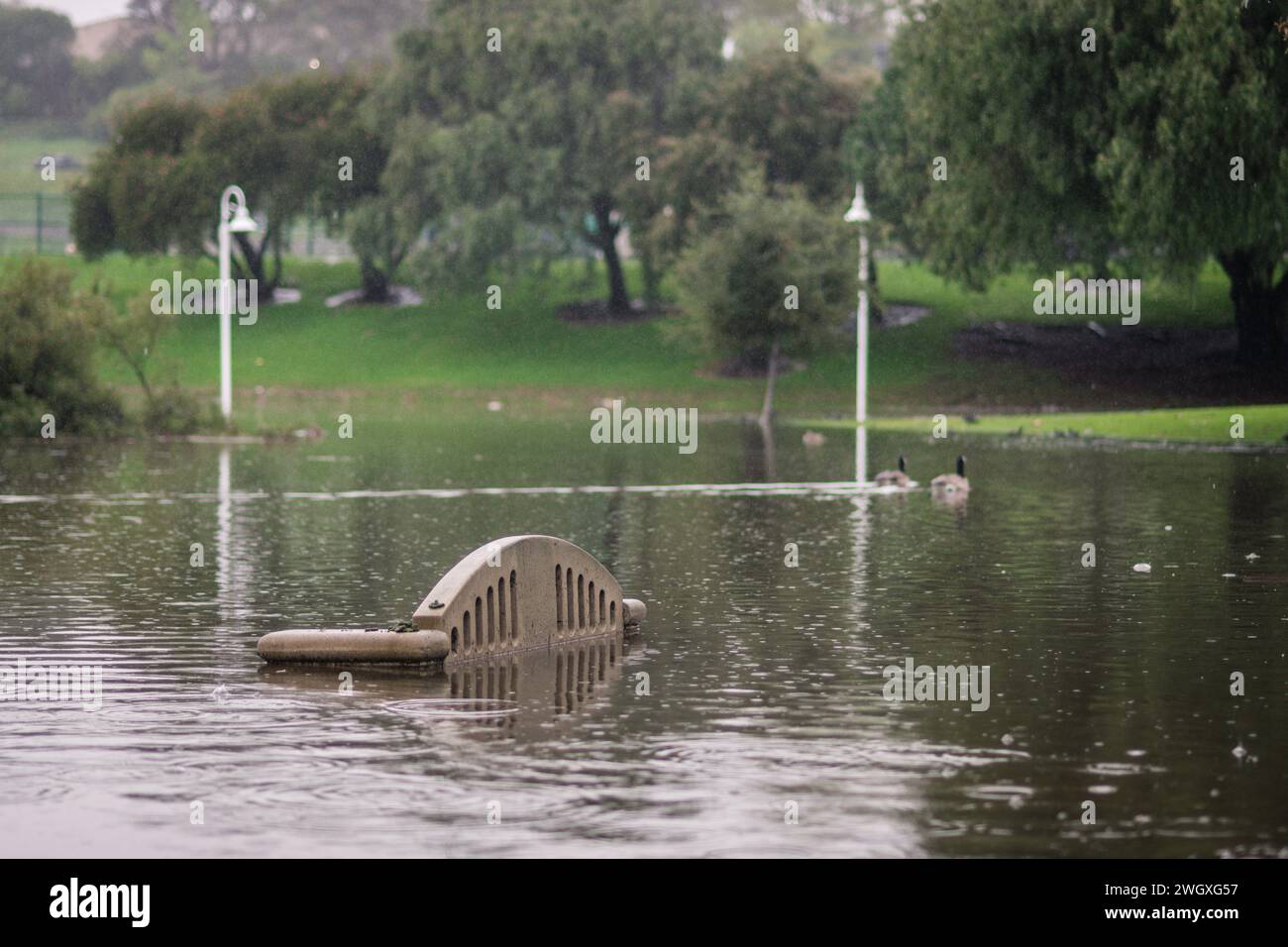 Lower playground polliwog park hi-res stock photography and images - Alamy