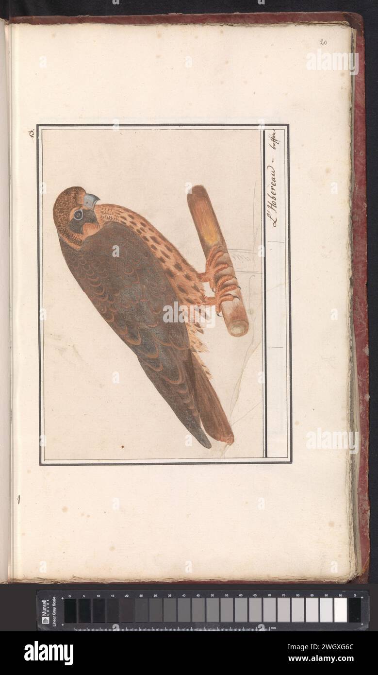 Boomvalk hi-res stock photography and images - Alamy