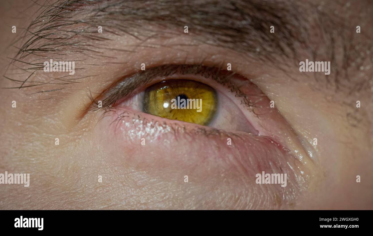 Beautiful blinking male eye close hi-res stock photography and images ...