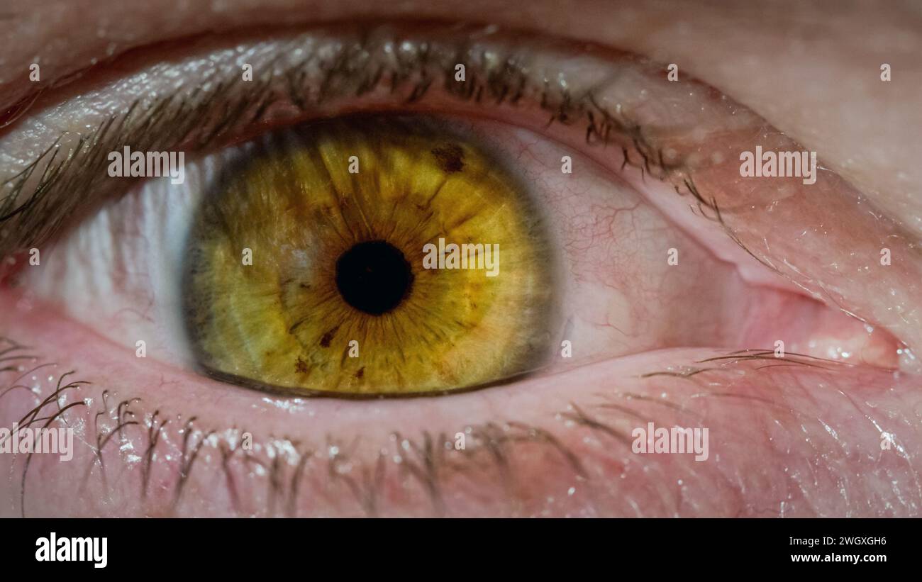 Human eye movement, opening and blinking of a male eye with brown iris ...