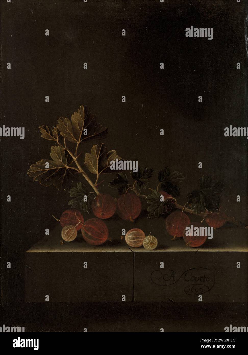 A Sprig of Gooseberries on a Stone Plinth, 1699 painting A sprig of ...