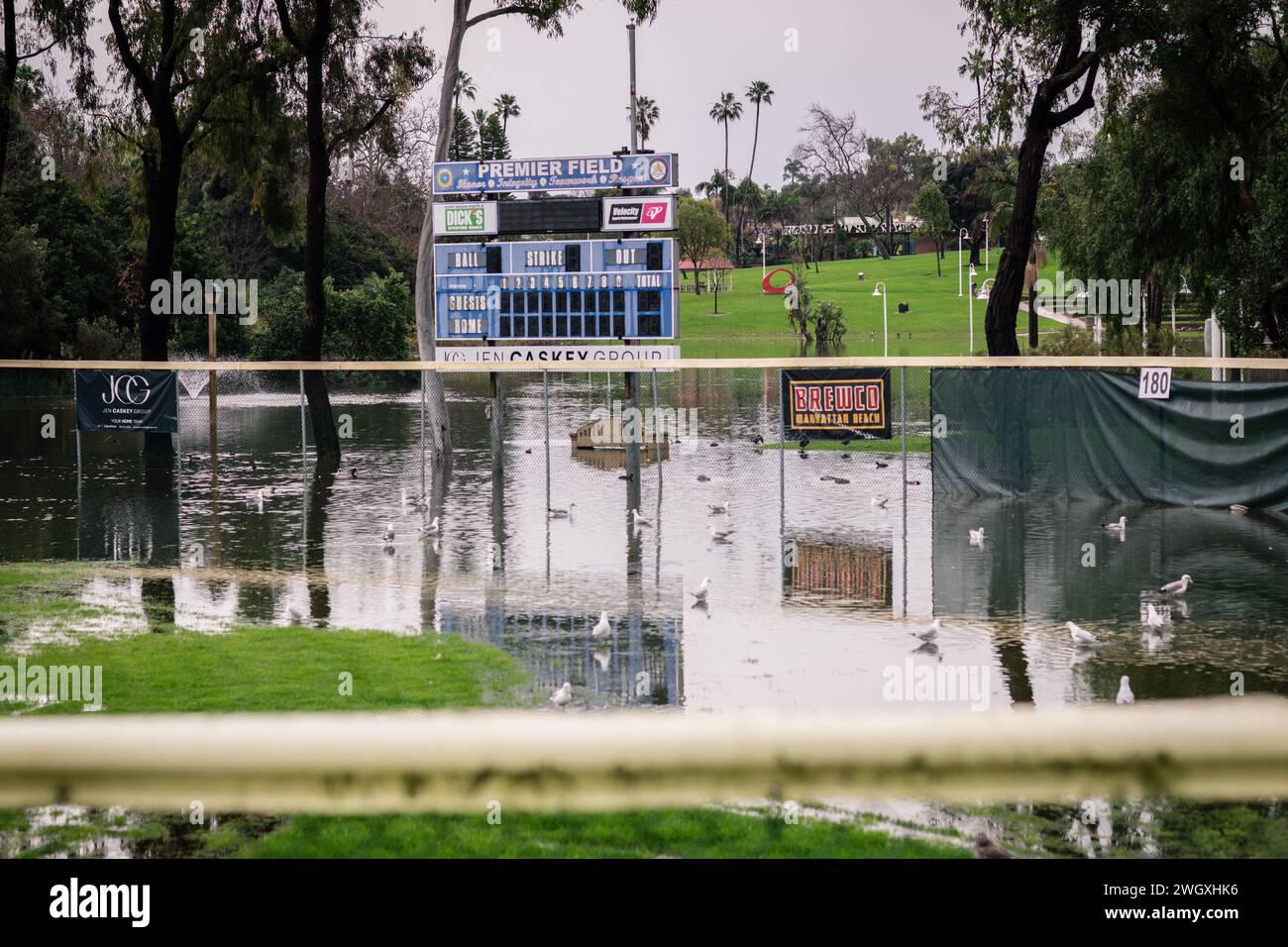 Premier field hi-res stock photography and images - Alamy