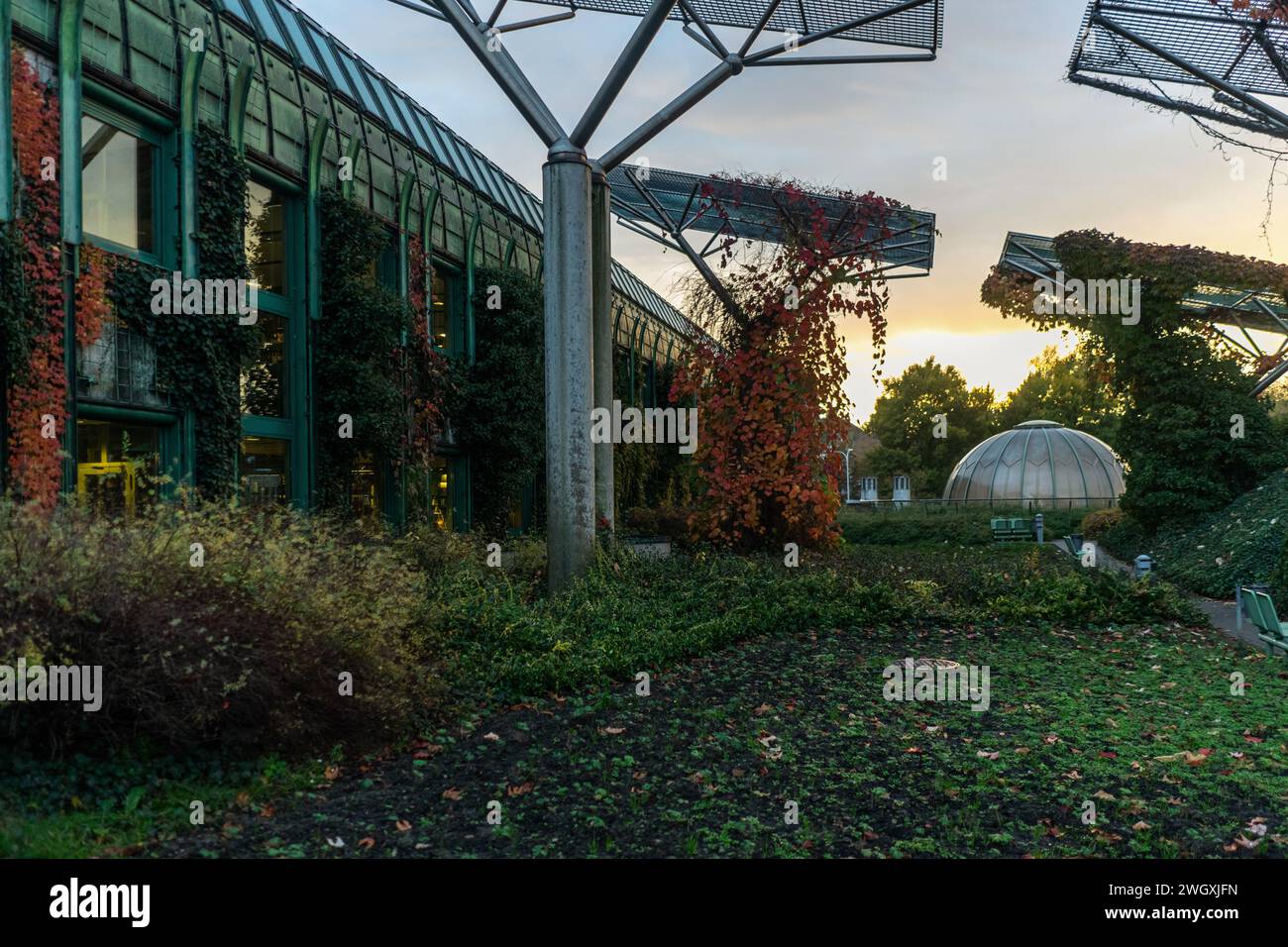 beautiful modern library gardens at Warsaw, autumn sunset Stock Photo ...
