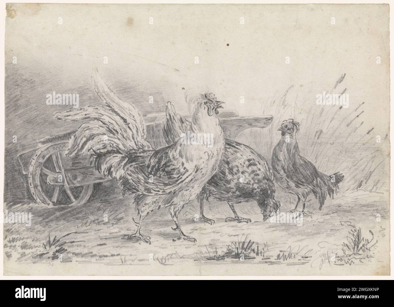 Haan with two chickens at a wheelbarrow, Jan Herman Coster, 1856 - 1920 ...