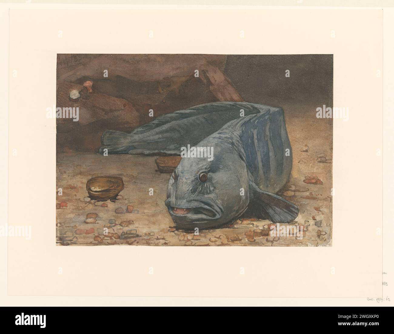 Study of the habit of a monk, Bartolommeo (FRA) (attributed to), 1485 ...