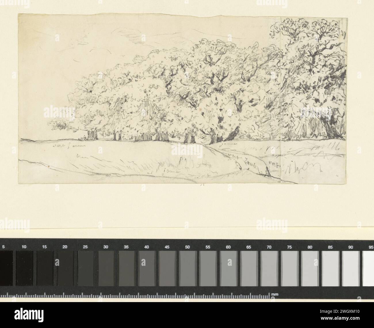 Sketch of a forest edge, Théodore Rousseau, 1822 - 1867 drawing paper ...