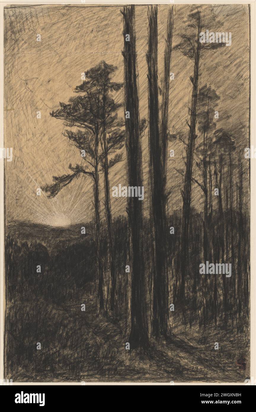Needle forest with setting sun, Carel Nicolaas Storm van 's -Gravesande ...