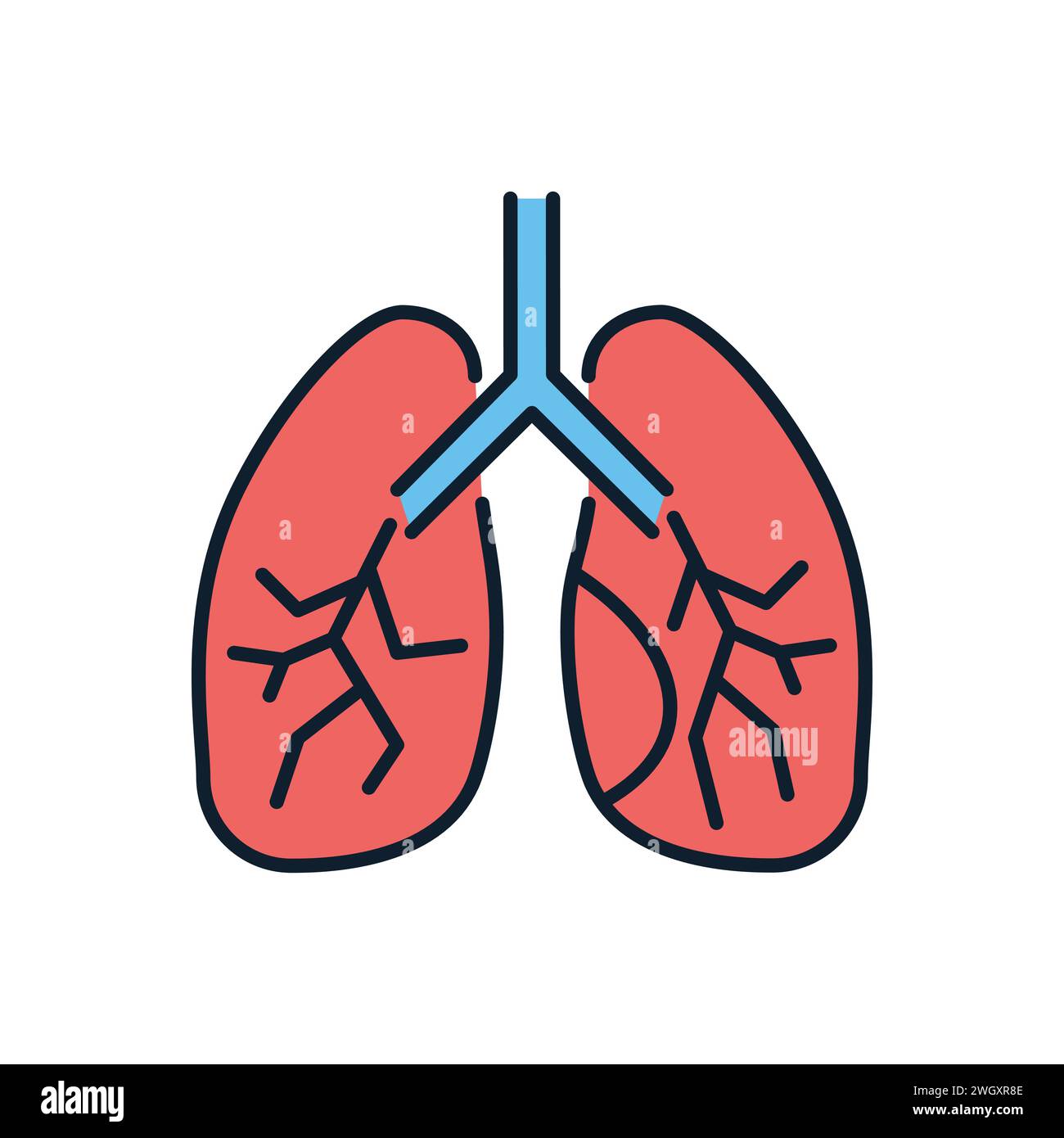 Lungs related vector icon. Lungs sign. Isolated on white background ...