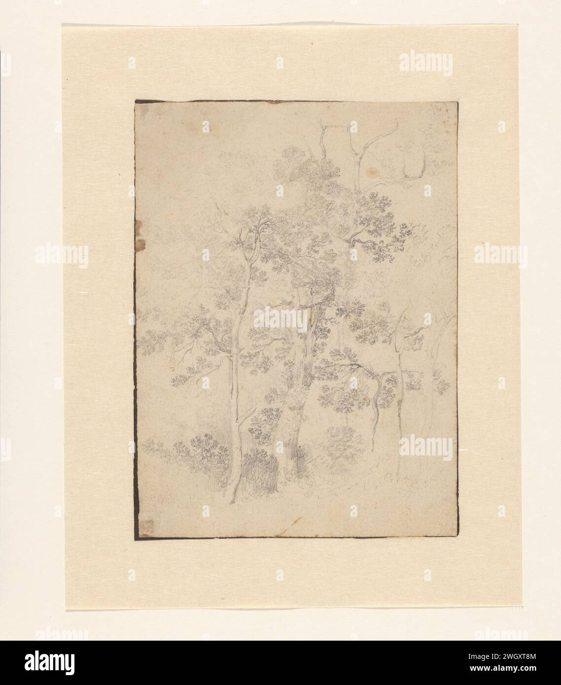 Graphite mineral hi-res stock photography and images - Alamy