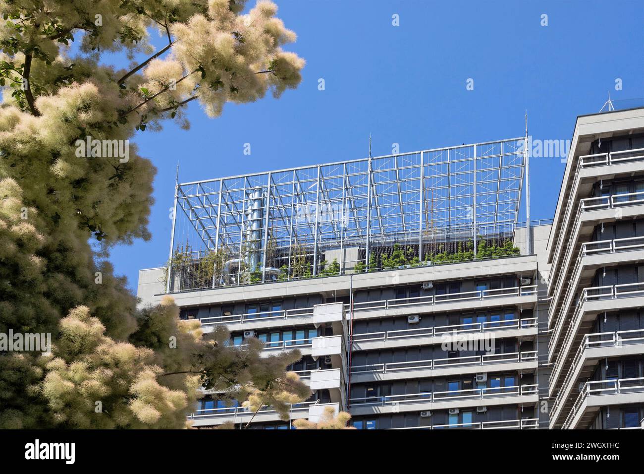 Kepleruniversitat hi-res stock photography and images - Alamy