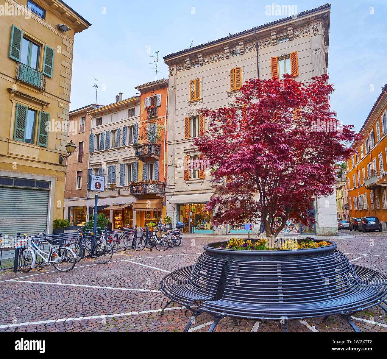 The round bench, Japanese maple and small flower bed on Largo ...