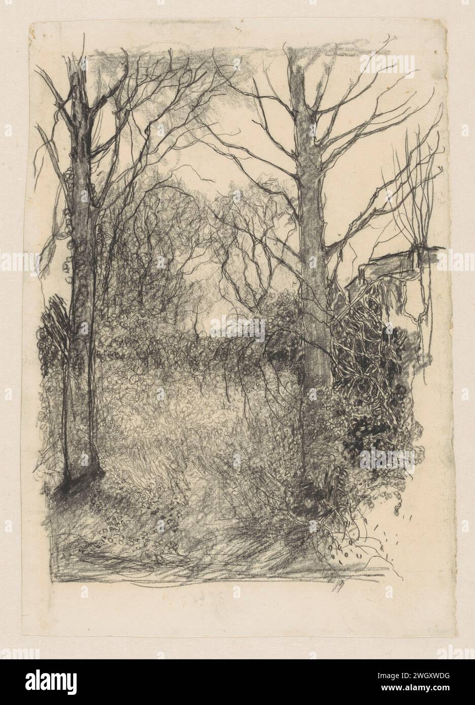 Bosrand, Jan Mankes, 1913 - 1915 drawing paper. chalk forest, wood ...