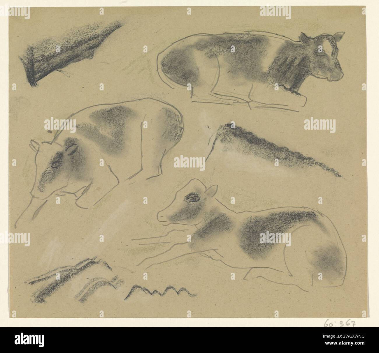 Three lying cows, Leo Gestel, 1891 - 1941 drawing paper. pencil. chalk ...