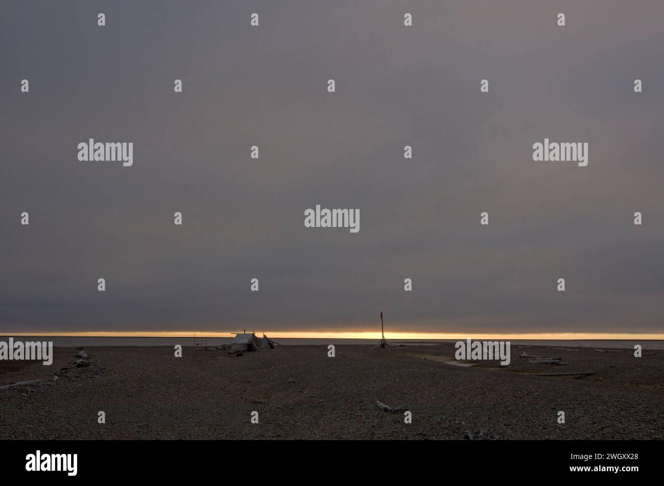 Bruce Inglangasak fish camp smoking broad whitefish Coregonus nasus at ...