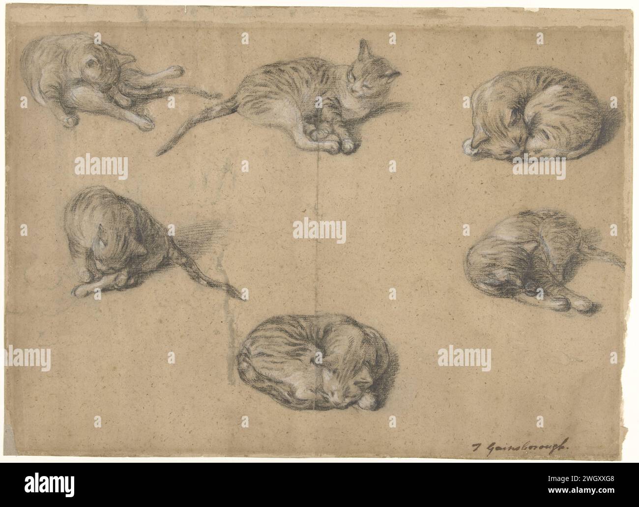 Six Studies of a Cat, Thomas Gainsborough, c. 1763 - c. 1769 drawing ...
