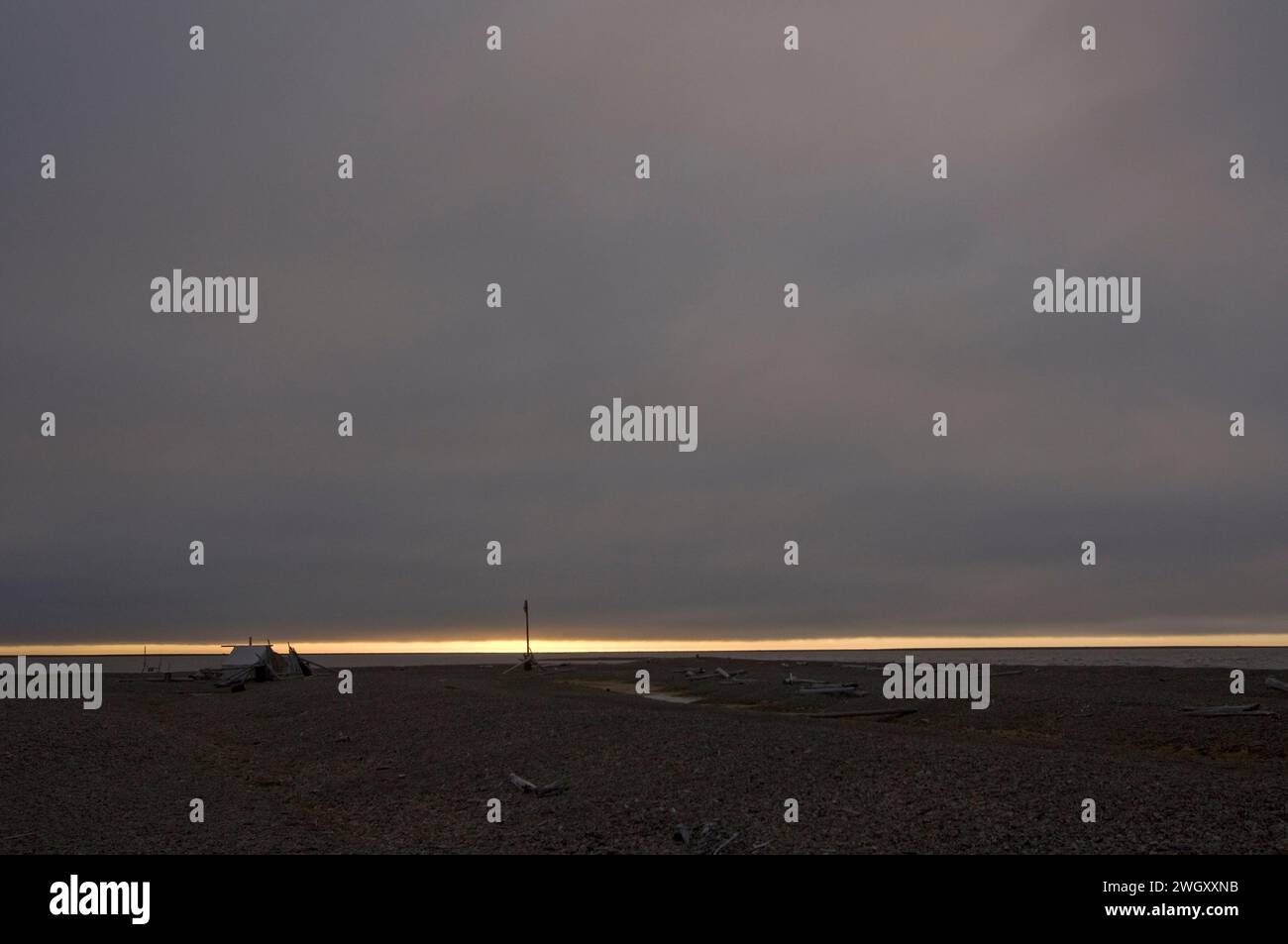Bruce Inglangasak fish camp smoking broad whitefish Coregonus nasus at ...