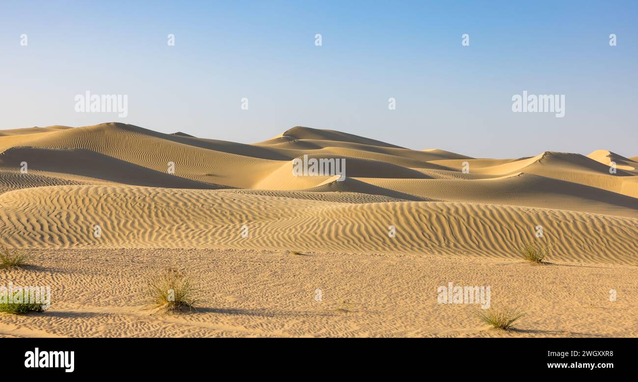 Uae oasis landscape hi-res stock photography and images - Alamy