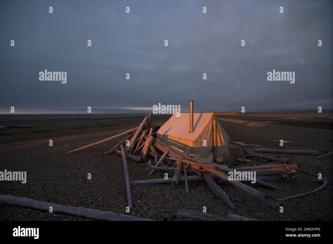 Bruce Inglangasak fish camp smoking broad whitefish Coregonus nasus at ...