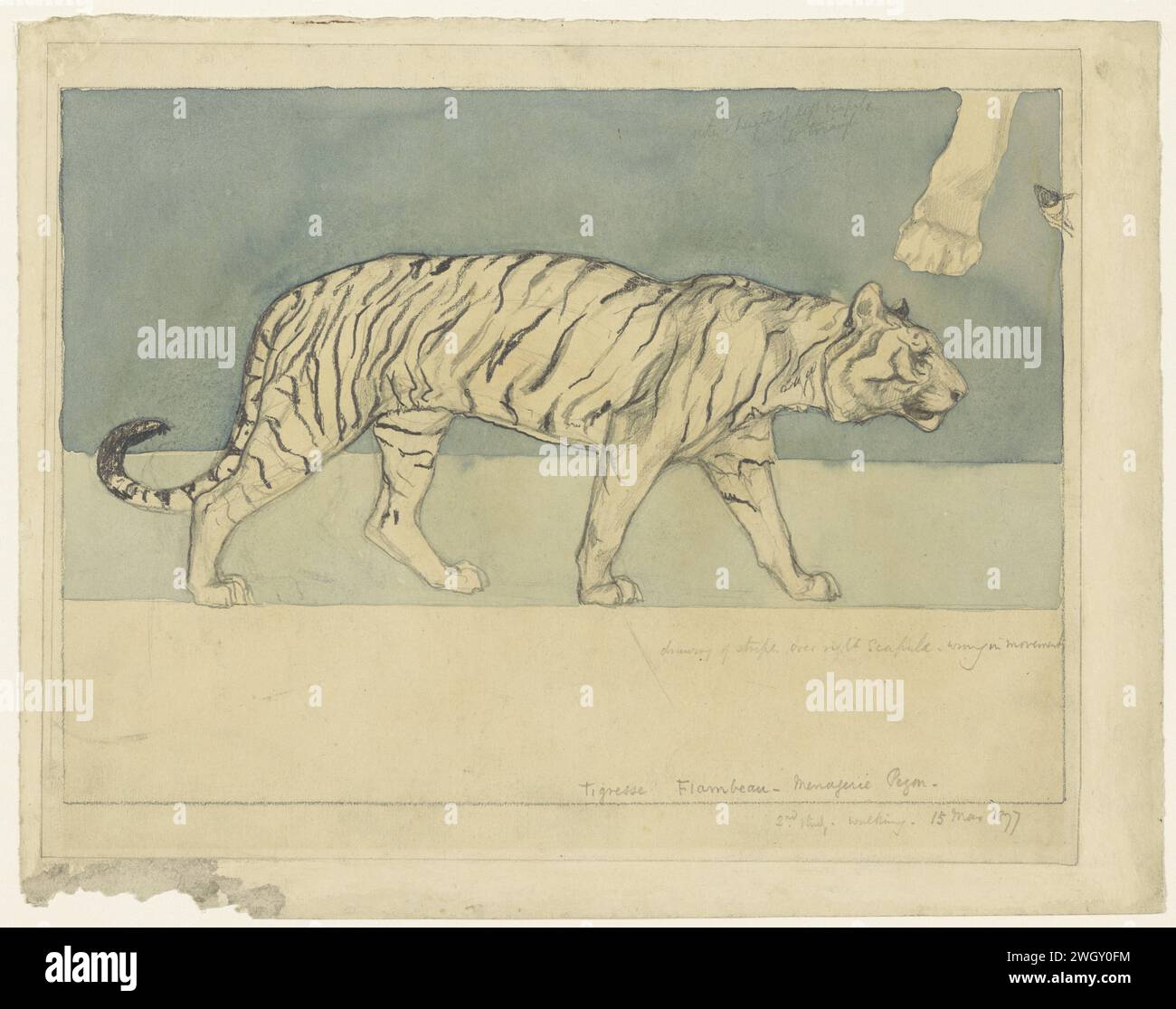 Current figures, John Macallan Swan, 1877 drawing paper. pencil brush ...