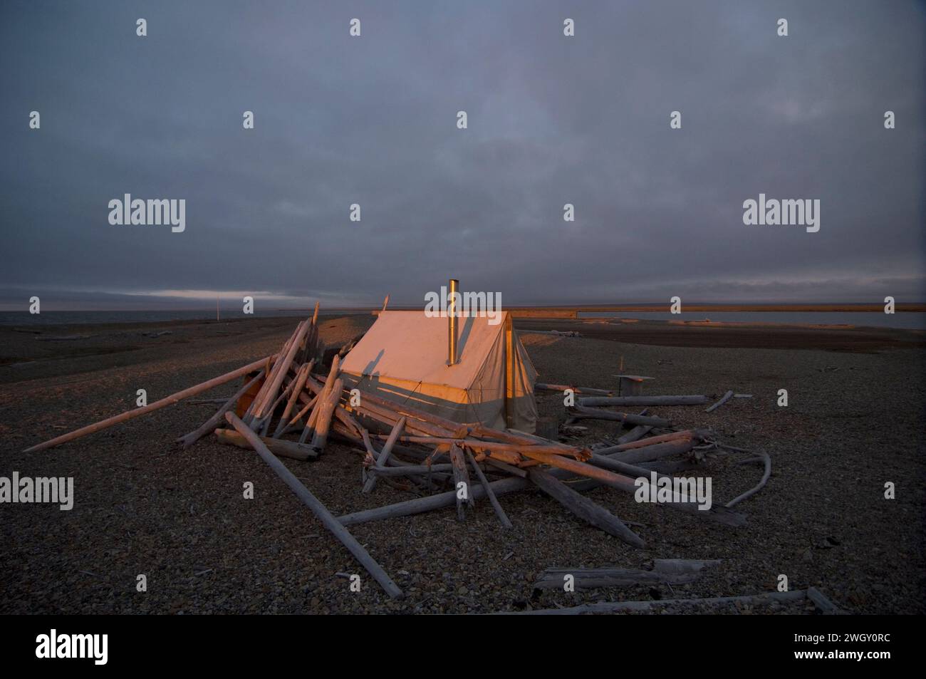 Bruce Inglangasak fish camp smoking broad whitefish Coregonus nasus at ...
