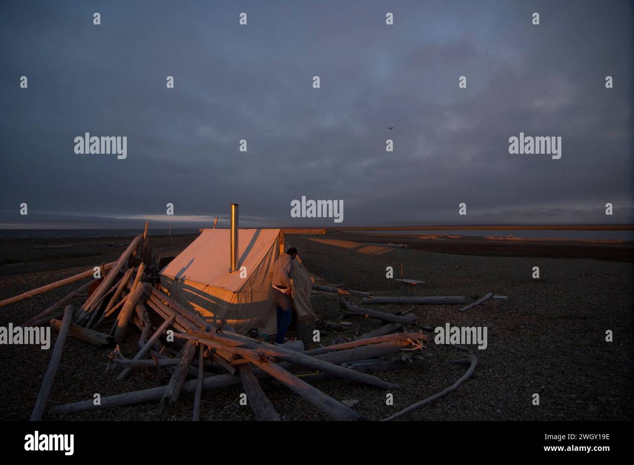 Bruce Inglangasak fish camp smoking broad whitefish Coregonus nasus at ...