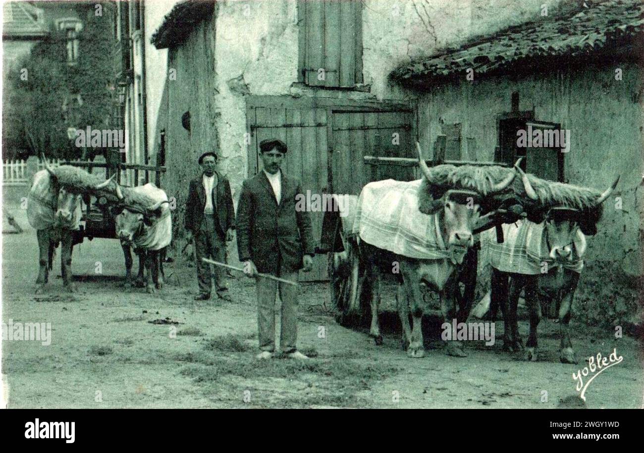 Au Pays Basque - paysans Stock Photo - Alamy