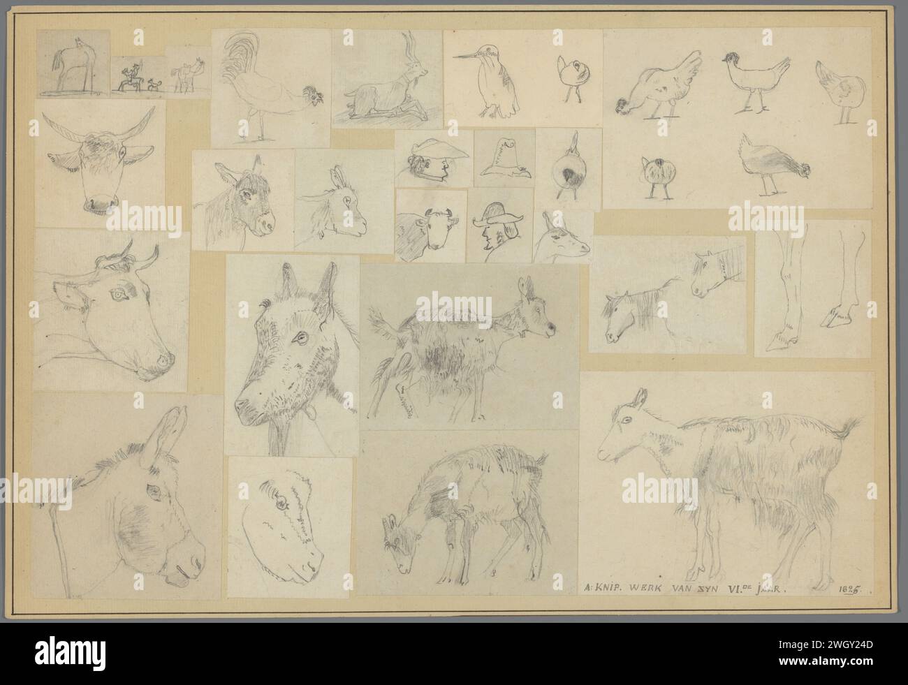 Cardboard on which 25 children's and people children's drawings are ...