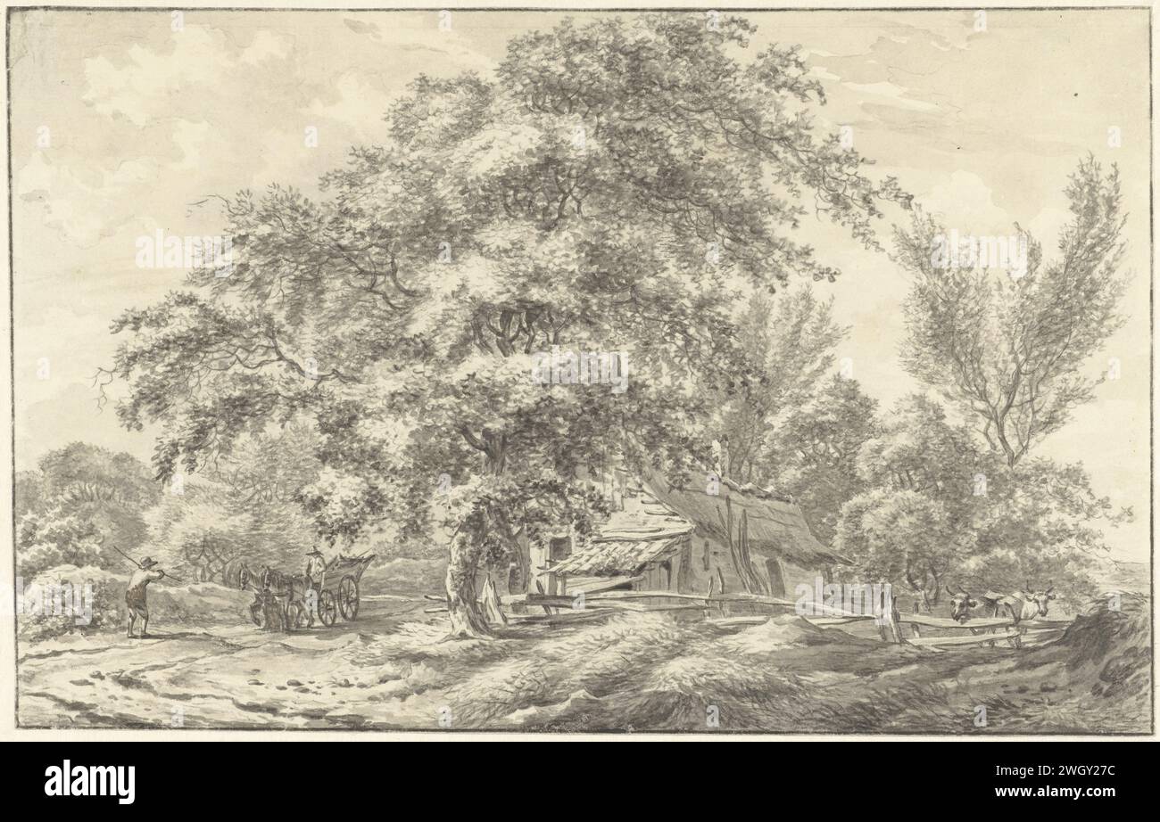 Solitary house under trees hi-res stock photography and images - Alamy