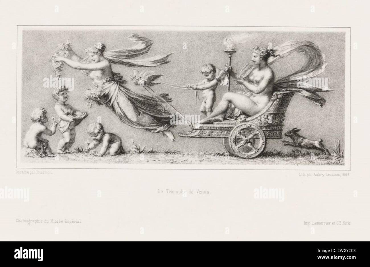 Triomphe de venus hi-res stock photography and images - Alamy