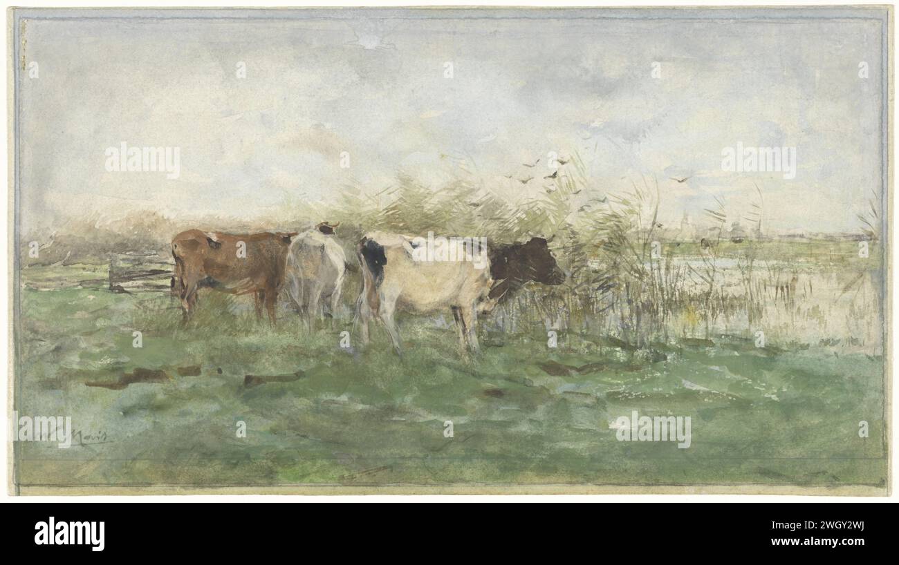 Cows at a Plas, Willem Maris, 1844 - 1910 drawing paper. watercolor ...