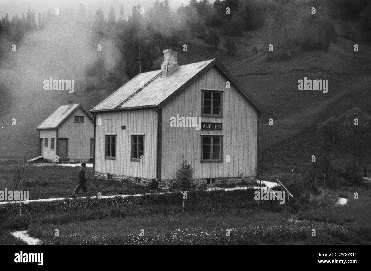 Nf foto hi-res stock photography and images - Alamy