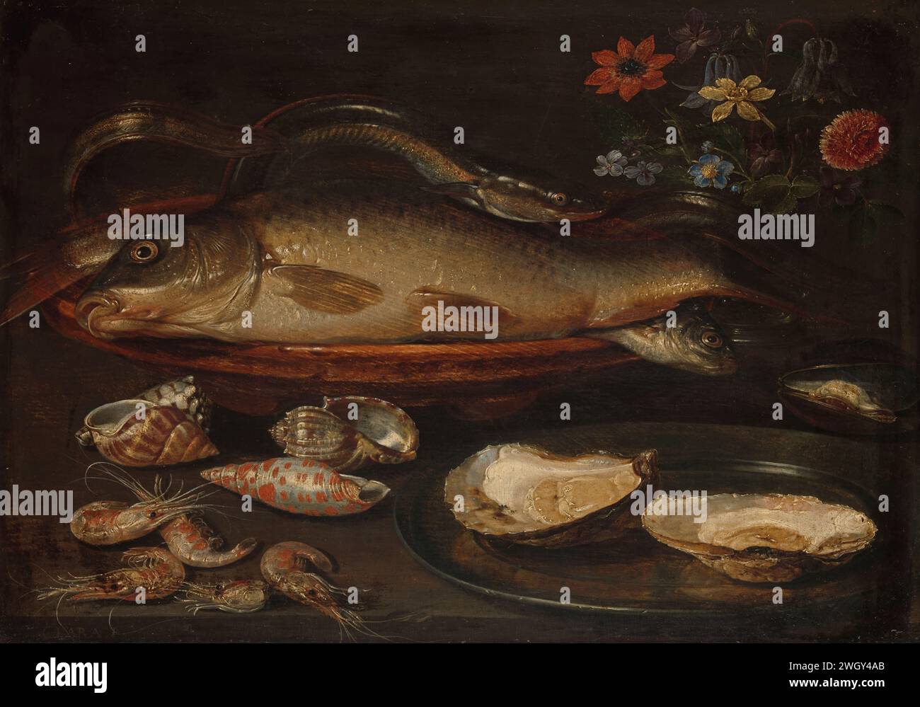 Shell still life painting hi-res stock photography and images - Alamy