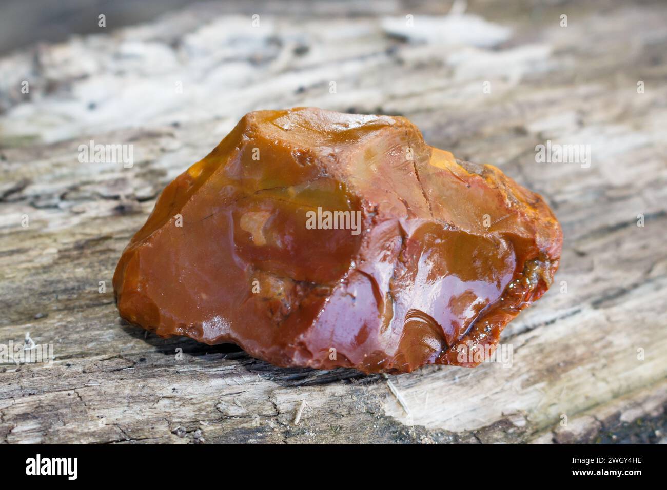 Stone Age flint tool with traces of retouching on the edge Stock Photo ...