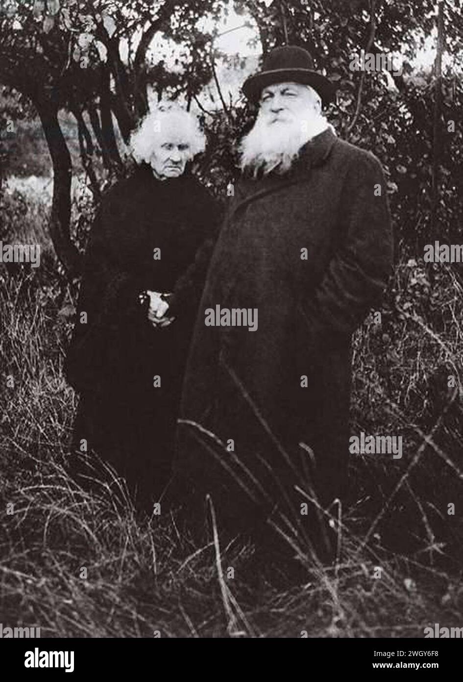 Rose beuret hi-res stock photography and images - Alamy