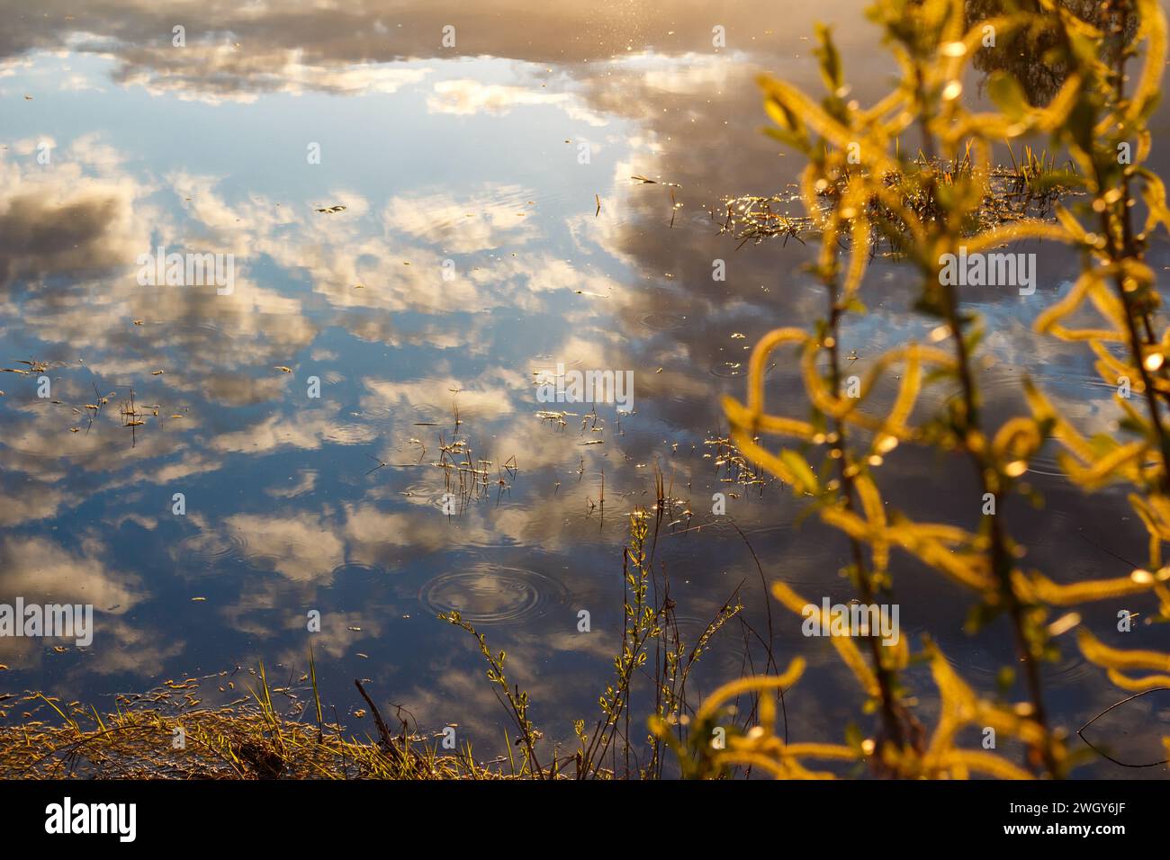 Colorful view of the water surface on the river reflecting clouds ...