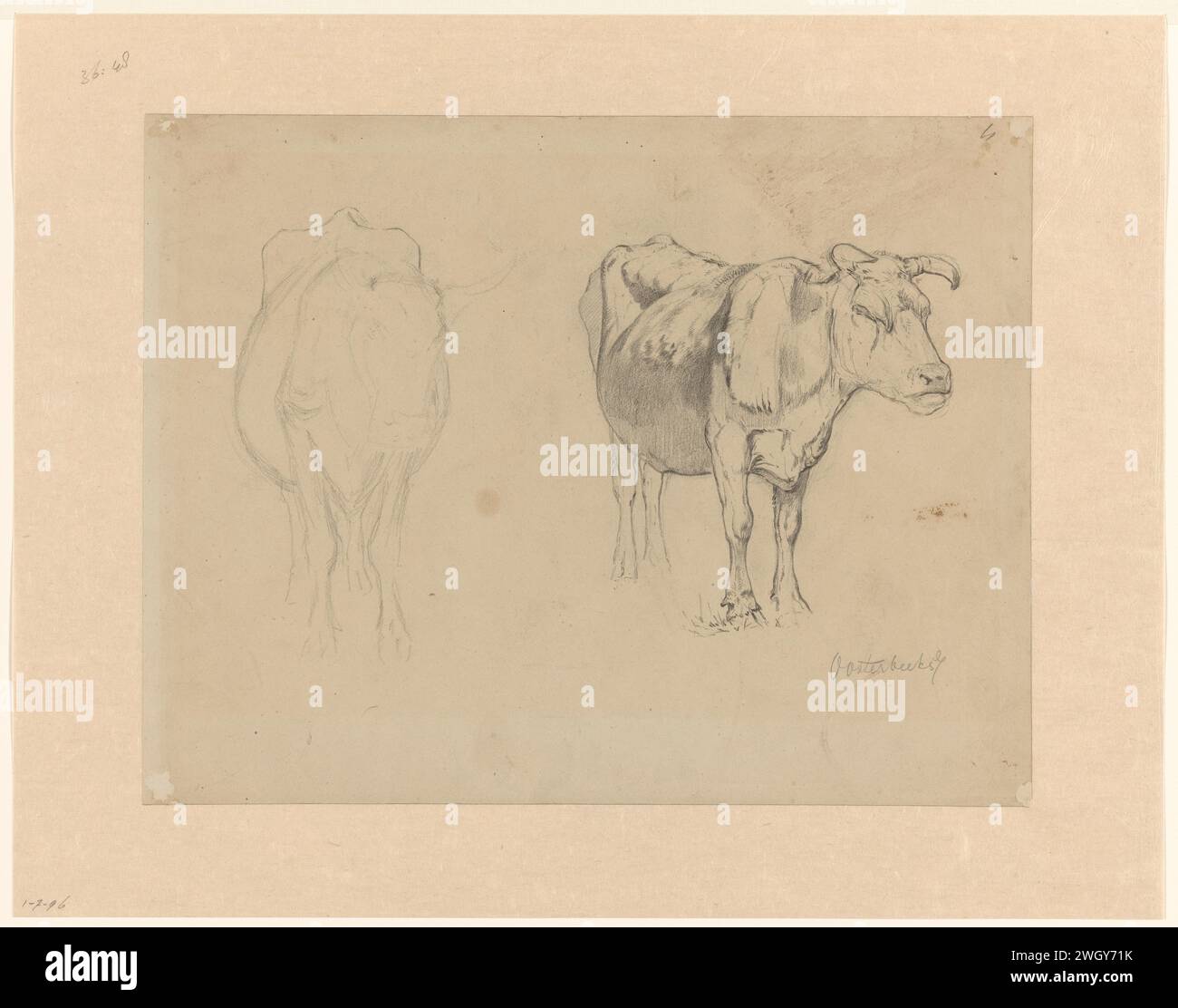 Sketch magazine with two studies of cows, Gerard Bilders, 1857 drawing ...