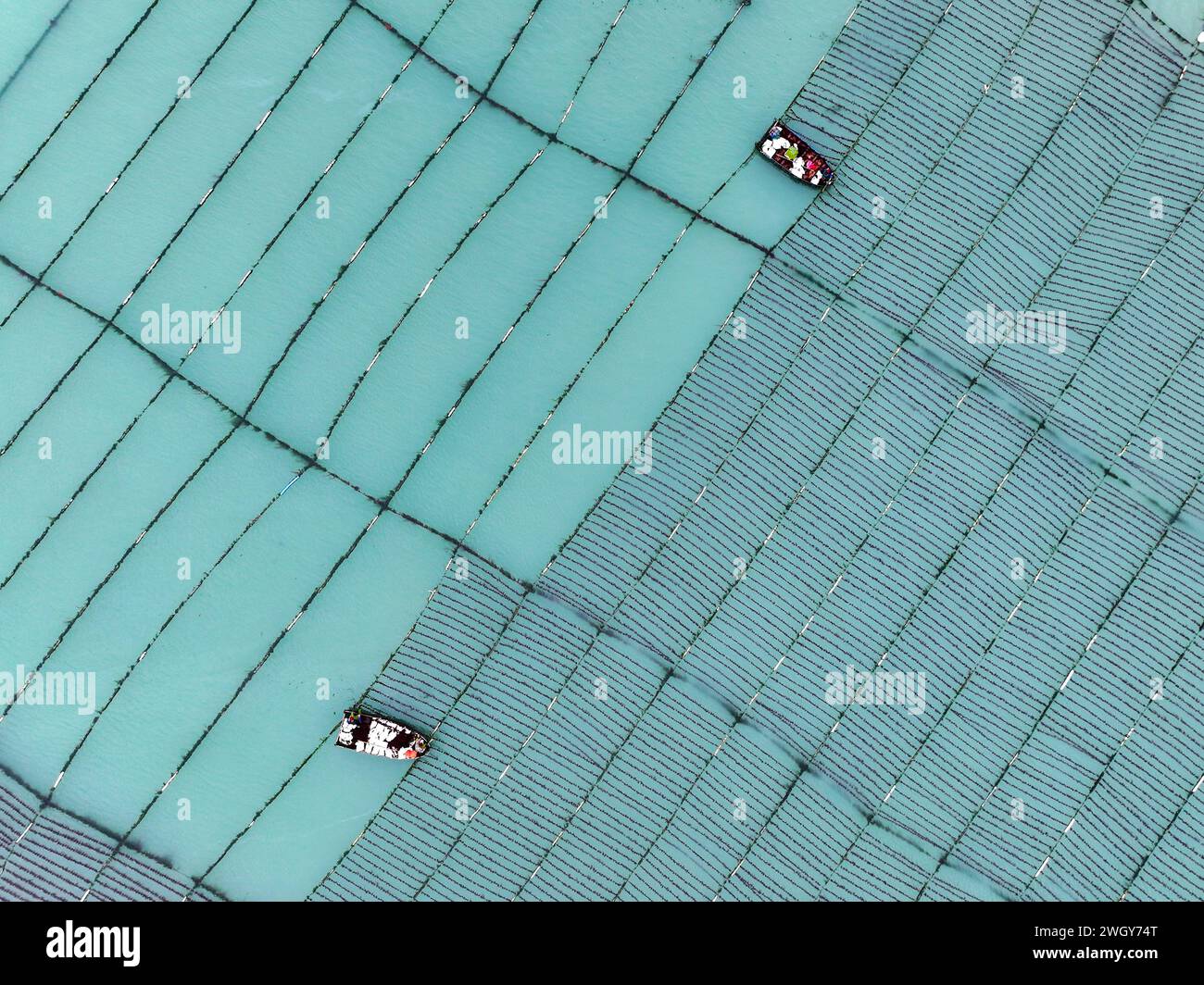 PUTIAN, CHINA - FEBRUARY 5, 2024 - Fishermen drive various kinds of ...