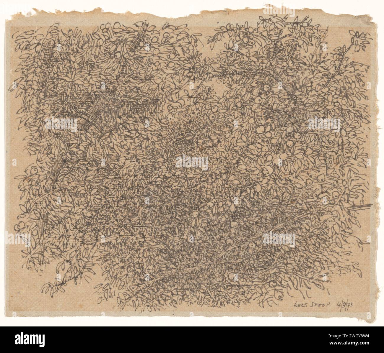 Fruit -bearing Fruitboom, 1973 drawing paper. ink pen trees. orchard ...