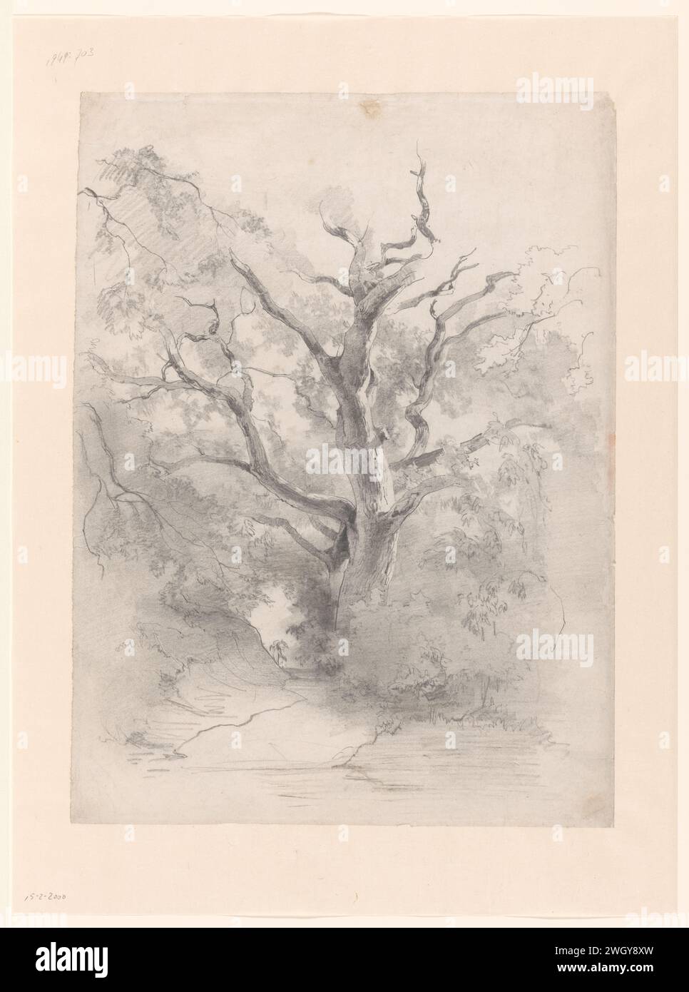 Tree studies, from an old oak in a forest, Karel Elias van Toulon, 1826 - 1852 drawing paper ...