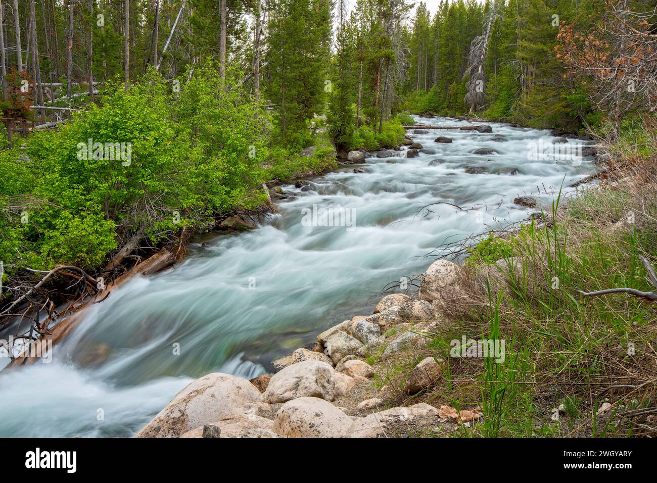 Redfish Creek in the Sawtooth National Recreatioin Area, Idaho Stock ...
